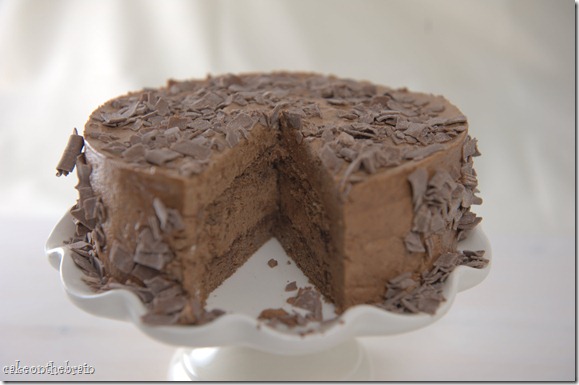 CAKE ON THE BRAIN: CAKEBRAIN’S BEST MINI CHOCOLATE MOUSSE LAYER CAKE